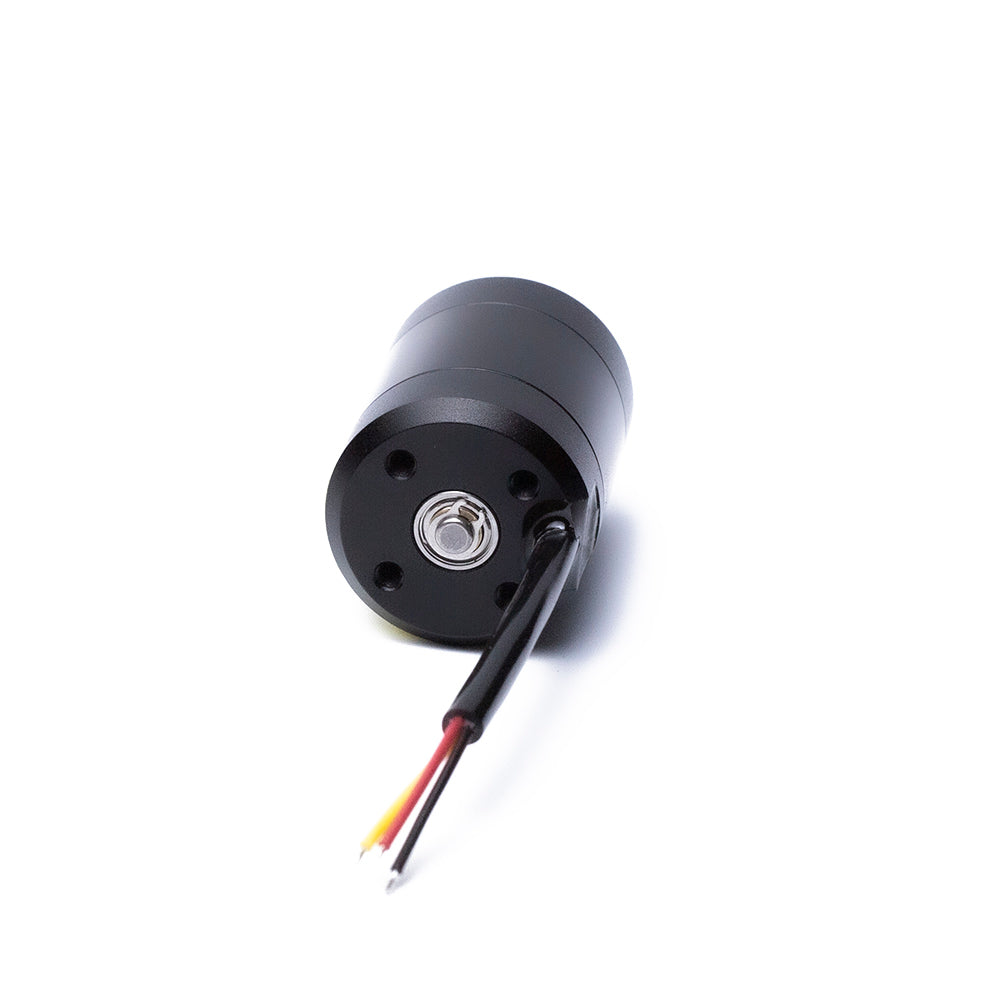 ApisQueen brushless waterproof motor 2828 500KV 12-16V(3-4S LiPo) for ...